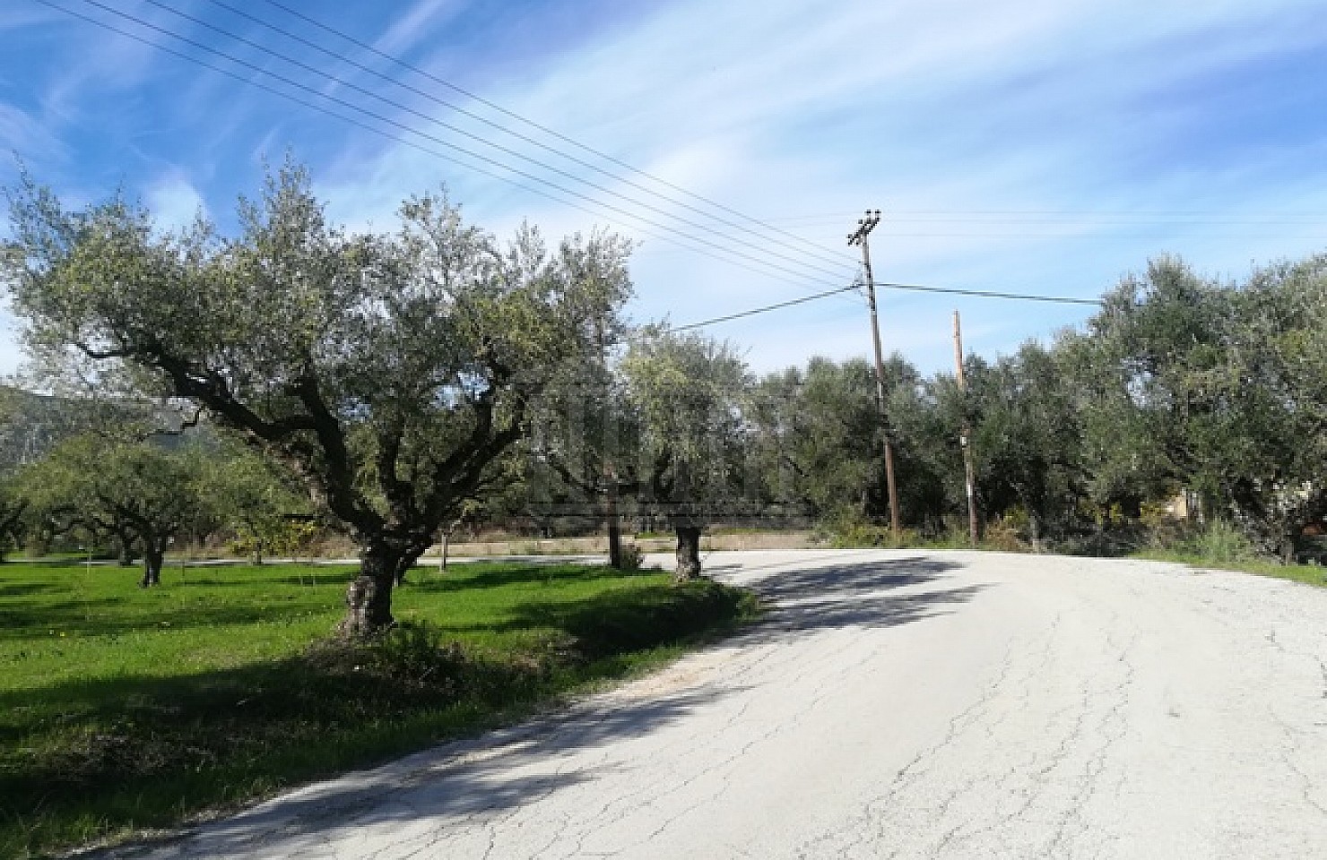 Land plot in Zakynthos | Delfi Properties | Greece